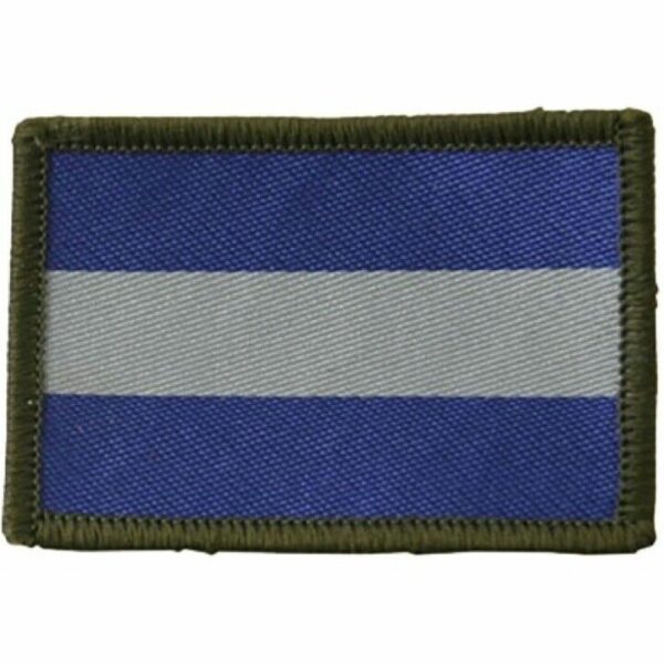 BRITISH ARMY AIR CORPS TACTICAL RECOGNITION FLASH BADGE AAC INSIGNIA ...