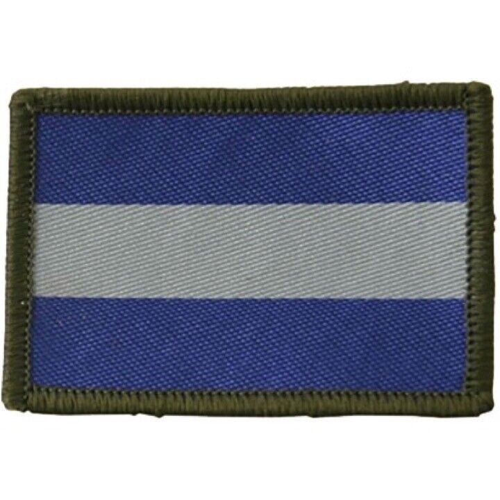 BRITISH ARMY AIR CORPS TACTICAL RECOGNITION FLASH BADGE AAC INSIGNIA ...