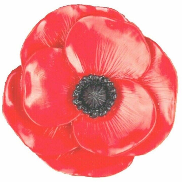 POPPY FRIDGE MAGNET HANDMADE RESIN GIFT ARMY REMEMBRANCE WW1 WW2 LEST ...
