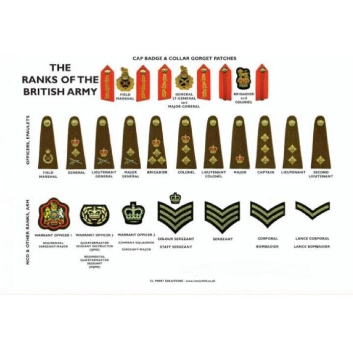 RANKS OF THE BRITISH ARMY MILITARY POSTER A4 A3 POSTER RECRUITS CADETS ...